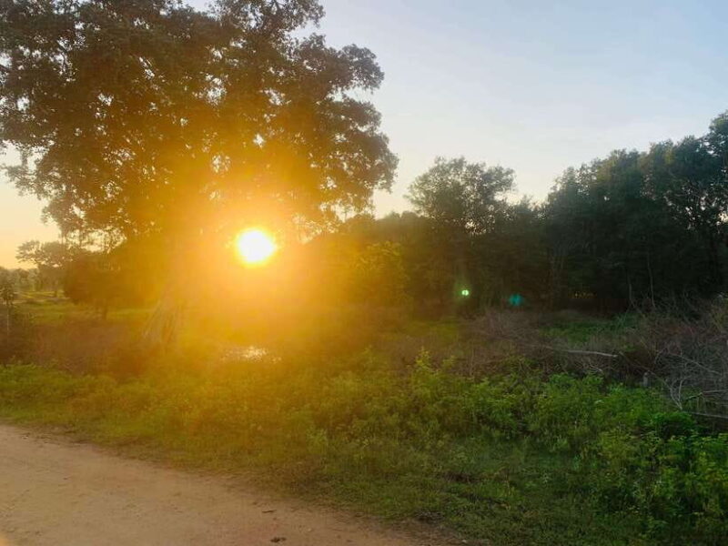 7 days Round tour in Sri Lanka - Why This Tour Offers Good Value