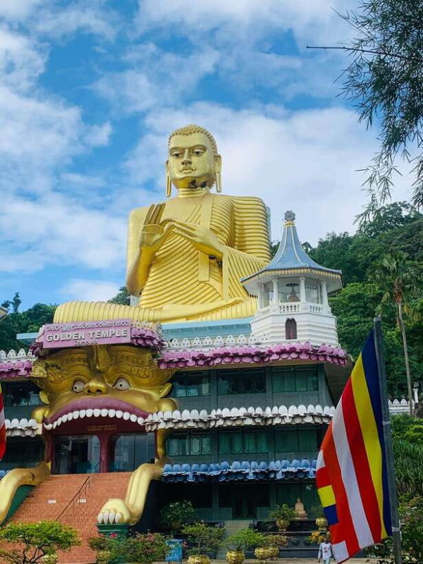 7 days Round tour in Sri Lanka - Transportation and Guides