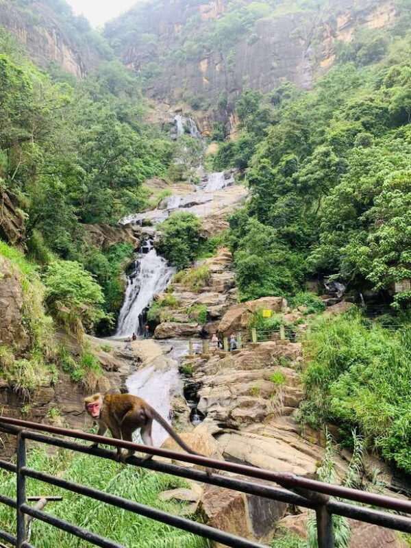 7 days Round tour in Sri Lanka - Final Thoughts: Who Should Consider This Tour?