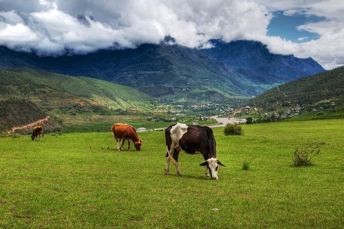 7 Days Thimphu Paro Punakha - Bhutan Culture Tour - Exploring Bhutan: The Itinerary in Detail