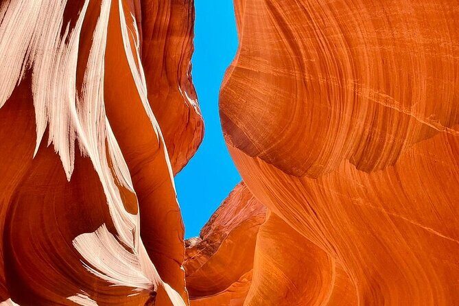 7 Days Tour of Los Angeles, Vegas, Yellowstone and Salt Lake City - Who Will Benefit Most?
