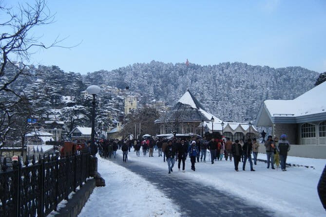 7 Days Tour of Shimla,Manali,Chandigarh from Delhi includes,Hotel & Vehicle - Practical Tips for Future Travelers