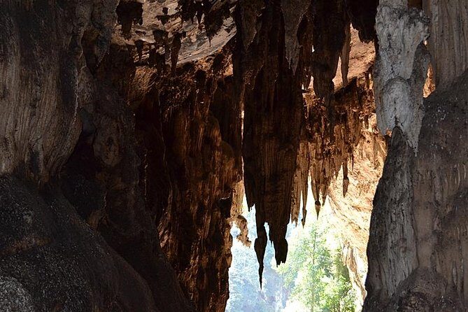 7 Days Trip Discover Northern Thailand - Key Points
