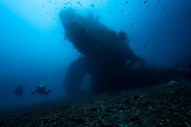7 Fun Dives in Tulamben (for certified divers) - Premium Value Package - The Authentic Bali Experience