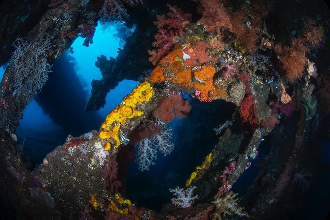 7 Fun Dives in Tulamben (for certified divers) - Premium Value Package - Final Thoughts: Is This Tour for You?