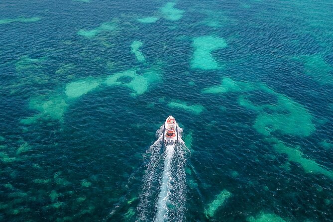 7 Hour Private Charter Rental "La Fueguina" in Ibiza - Final Thoughts