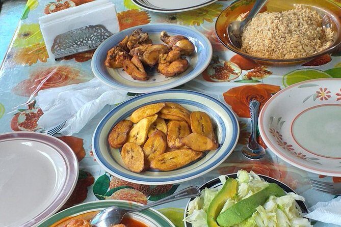 7 Hour- Private Nature Tour of the Monte Plata Rainforest - An In-Depth Look at the Monte Plata Rainforest Tour