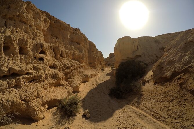 7-Hour Private Tour to the Wonders of Fuerteventura - Areas for Improvement