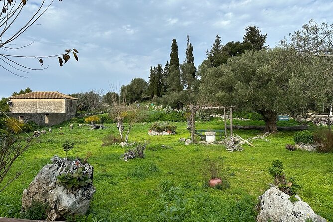 7 Hour Shared 4x4 Off Road Experience in Zakynthos - What’s Included and What’s Not