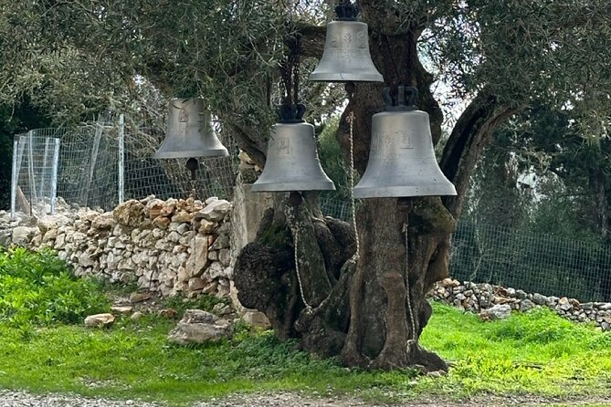 7 Hour Shared 4x4 Off Road Experience in Zakynthos - The Transport and Group Dynamics
