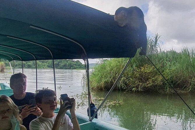 7 Hours Monkey Island and Nature Walk at Soberania National Park - Meeting and Pickup