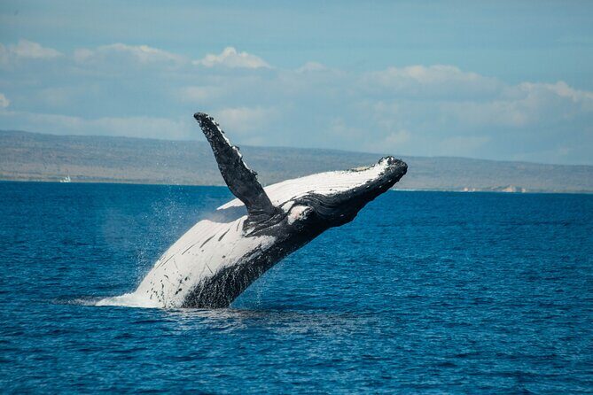 7 Hours Off Peak Whale Shark and Ningaloo Reef Tour in Exmouth - Exploring the Itinerary in Detail
