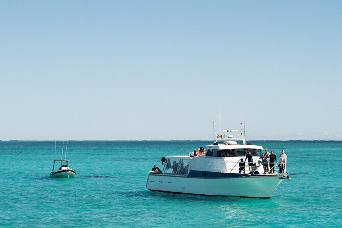 7 Hours Off Peak Whale Shark and Ningaloo Reef Tour in Exmouth - Who This Tour Is Perfect For