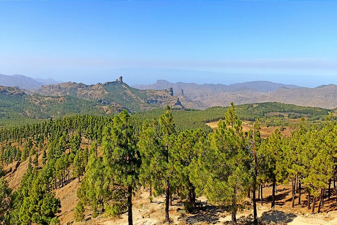 7-Hours Private Tour Volcanoes and Wine Region in the Canary Islands - Transportation and Comfort
