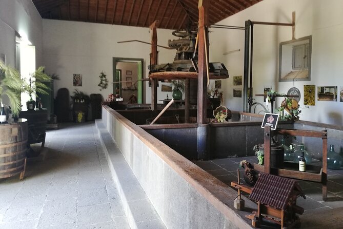 7-Hours Private Tour Volcanoes and Wine Region in the Canary Islands - What Travelers Say