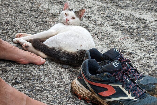 7 Hours Wildlife Discovery Tour in Dominica - FAQs