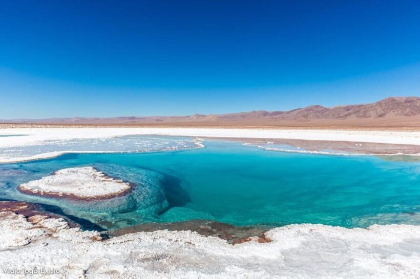 7 lagoons of Baltinache | San Pedro de Atacama - Introduction: A Peek into the Baltinache Lagoons Tour