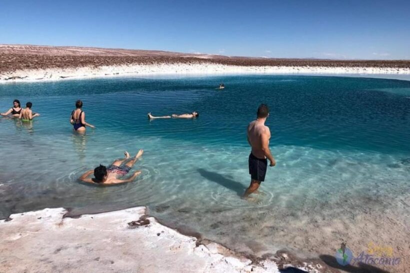 7 lagoons of Baltinache | San Pedro de Atacama - Authentic Insights from Reviews