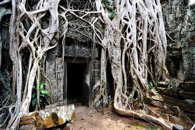 7-must See Temples in Angkor Park (Private Guided Tour) - What We Loved About This Tour