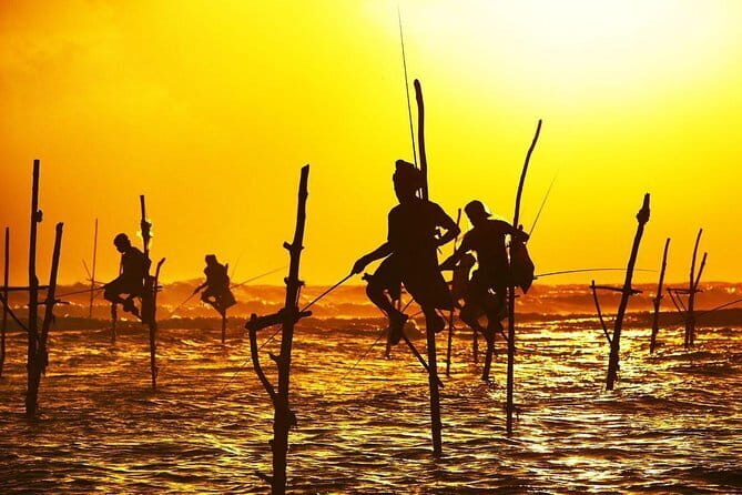 7 Night in Sri Lanka Heritage Private Tour - Discover the 7 Night in Sri Lanka Heritage Private Tour: A Practical Guide for Curious Travelers