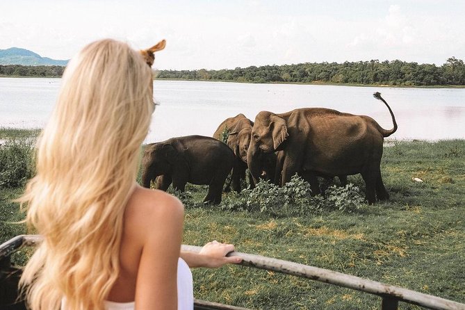 7 Nights Private Tour Of Sri Lanka - Authenticity and Review Highlights