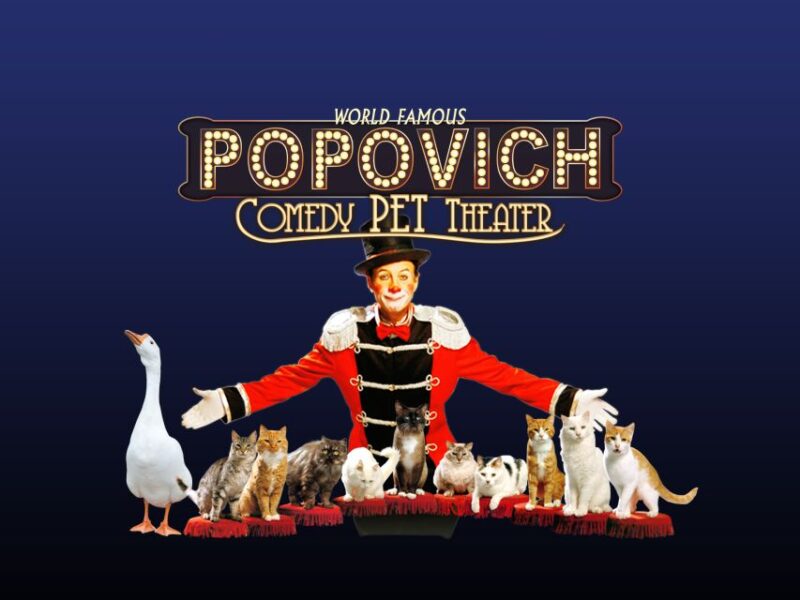 75-Minute Popovich Comedy Pet Theater in Las Vegas - The Ticket and Location Details