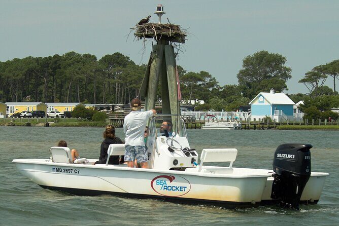 75 Minute Private Party Back Bay Sunset Cruise in Ocean City, MD - Introduction