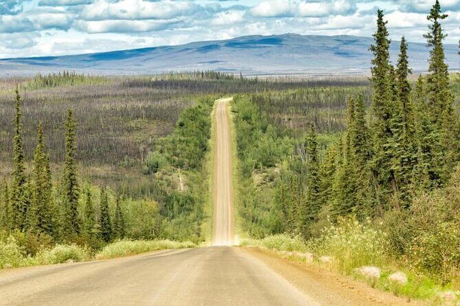 8-12 Hour Private Arctic Circle Experience in Alaska with Lunch - A Practical Look at the 8-12 Hour Private Arctic Circle Experience in Alaska