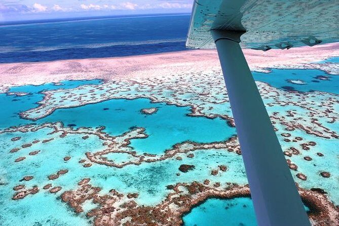 8-Day Cairns Tour: Great Barrier Reef, Kuranda, Daintree Rainforest - Key Points