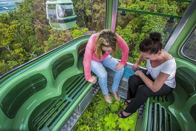 8-Day Cairns Tour: Great Barrier Reef, Kuranda, Daintree Rainforest - A Deep Dive into the Experience