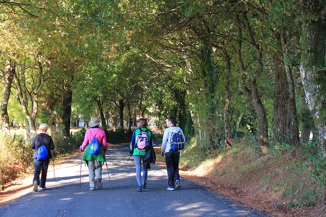8-Day Camino Frances Pilgrimage Tour From Sarria to Santiago - 6 Walking Days - Transfers and Logistics