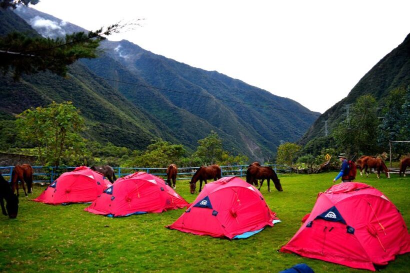 8 Day Cusco and Salkantay Trek to Machu Picchu - Introduction to the Tour