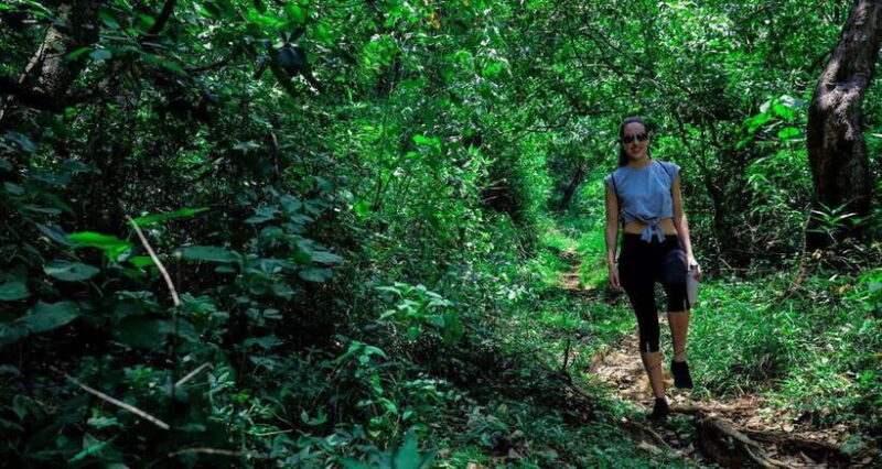 8-Day Enchanting Honeymoon Getaway" - What’s Included and What’s Not