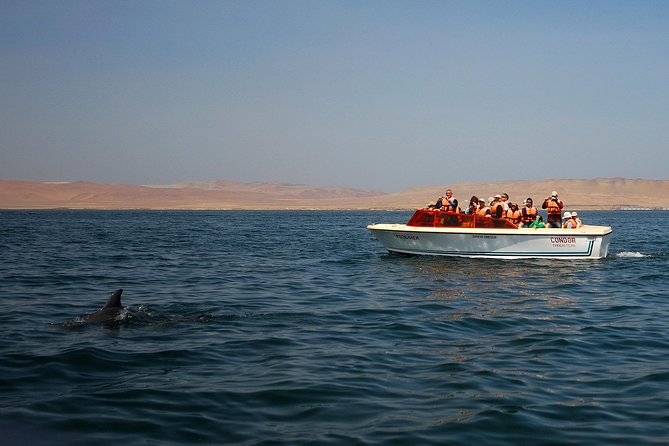 8 Day Enigmas of Peru: Lima, Nasca, Cusco, Sacred Valley & Machu Picchu - Exploring the Captivating City of Cusco