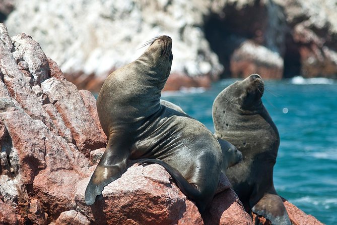 8 Day Enigmas of Peru: Lima, Nasca, Cusco, Sacred Valley & Machu Picchu - Taking in the Sacred Valley