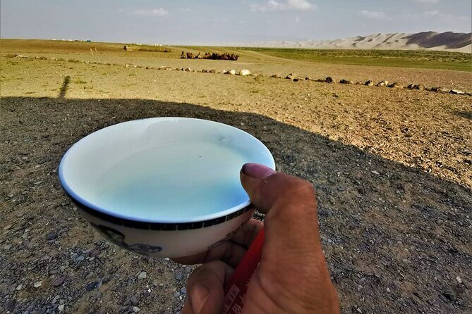 8 Day Great Gobi and Central Mongolia - FAQ Section