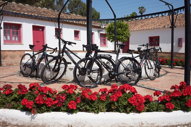 8 Day Guided Cycling and Walking Tour of Andalusia, Spain - FAQs