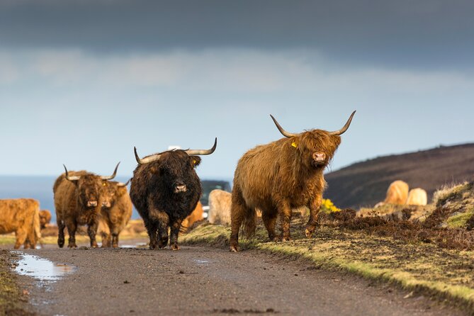 8-Day Isle of Skye, Orkney & North Coast 500 Tour From Edinburgh - Accommodations and Meals