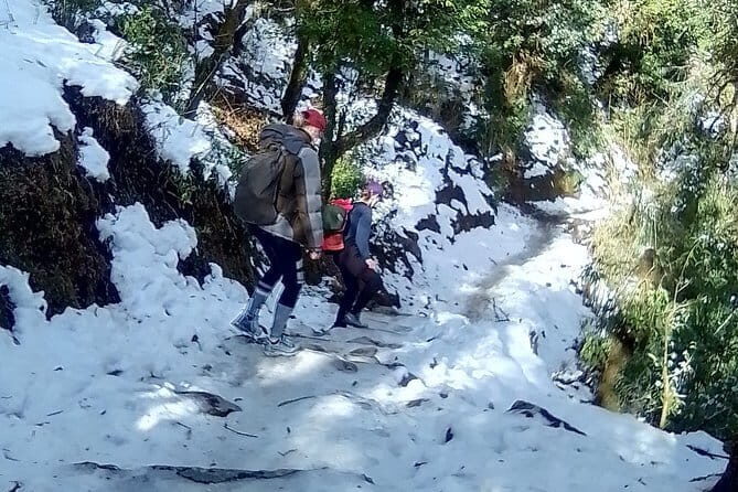 8 Day Langtang Village Trek Including Meals - Comfort and Convenience