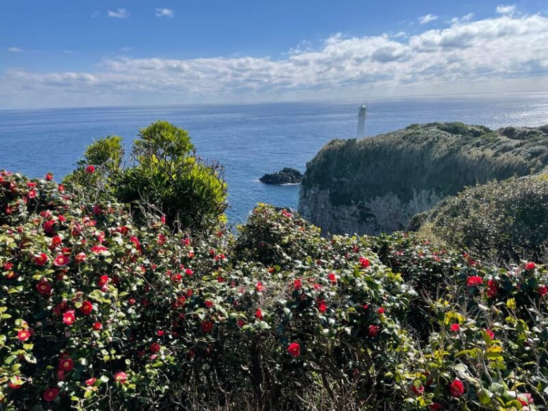 8-Day ONE WAY Bus Tour to Fukuoka From Osaka via SHIKOKU - Ferry Option for Overland Travel