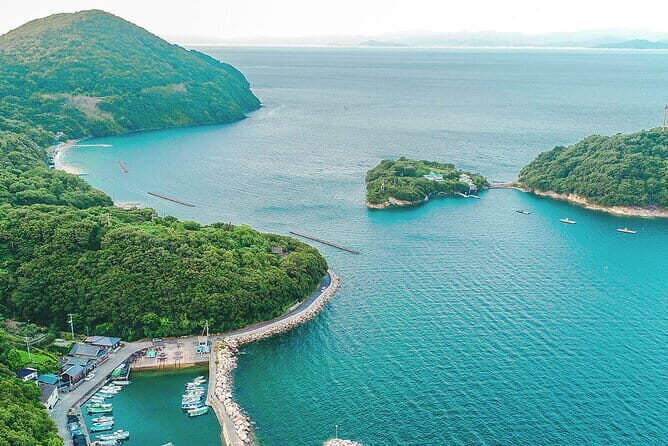 8 Day Private One Way Bus Tour to Fukuoka from Osaka - Who Should Consider This Tour?