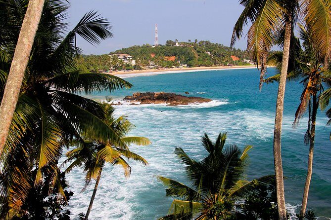 8 Day Private Sri Lanka Tour: Safari, Whale Watching & More - The Sum Up