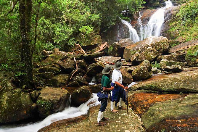 8 Day Private Tour Sri Lanka with Wildlife & Outdoor Experiences from Colombo - Who Will Enjoy This Tour?