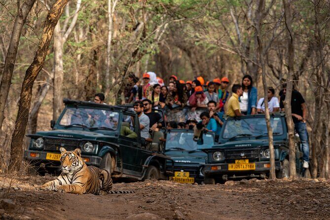 8-Day Private Transport for Golden Triangle Tour With Ranthambore - Major Delhi Highlights: History and Heritage