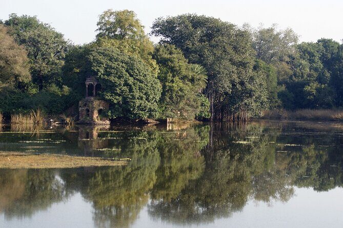 8-Day Private Transport for Golden Triangle Tour With Ranthambore - Final Day: A Blend of Culture and Commerce