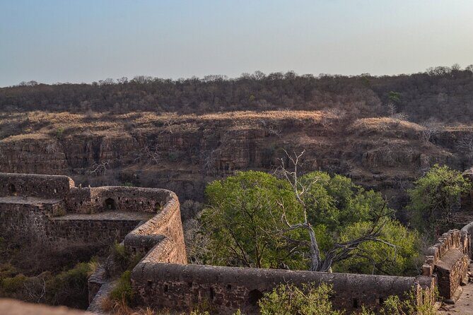 8-Day Private Transport for Golden Triangle Tour With Ranthambore - Final Thoughts