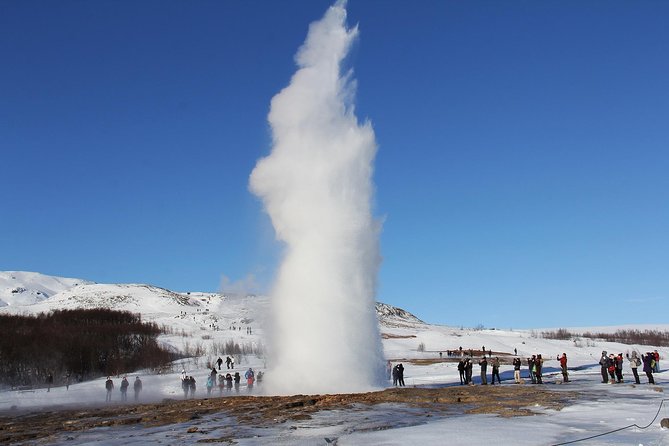 8-Day Small Group Tour Around Iceland in Minibus from Reykjavik - Who Should Consider This Tour?