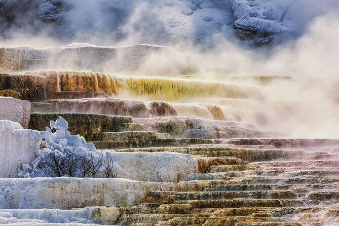 8 Day Tour Los Angeles, Las Vegas, Yellowstone and Grand Teton - FAQs