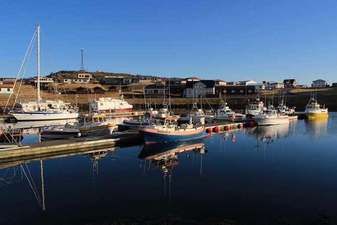 8 Day Winter Circle Tour, Ring Route of Iceland with Snæfellsnes Peninsula - Who This Tour Is Best For