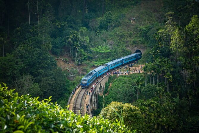 8 Days/ 7 Nights - Sri Lankas Culture Wildlife and Beaches - Who This Tour Is Best For